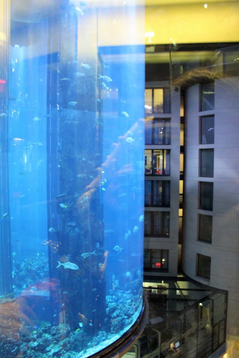 Radisson Blu – Berlin - The Travels of Mrs B